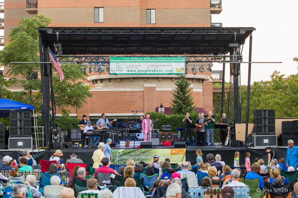 Gallery | Skip Towne and the Greyhounds