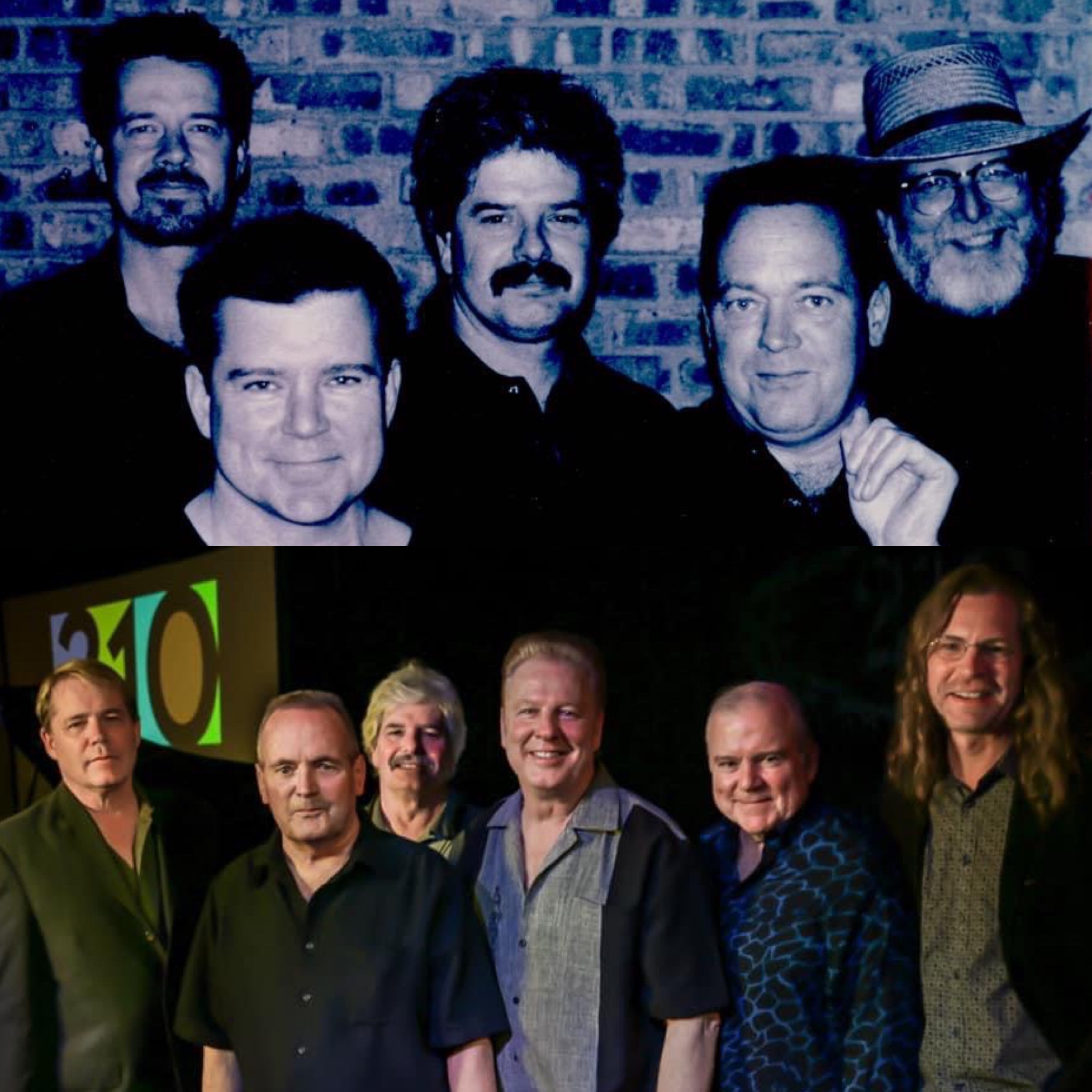 Gallery | Skip Towne and the Greyhounds